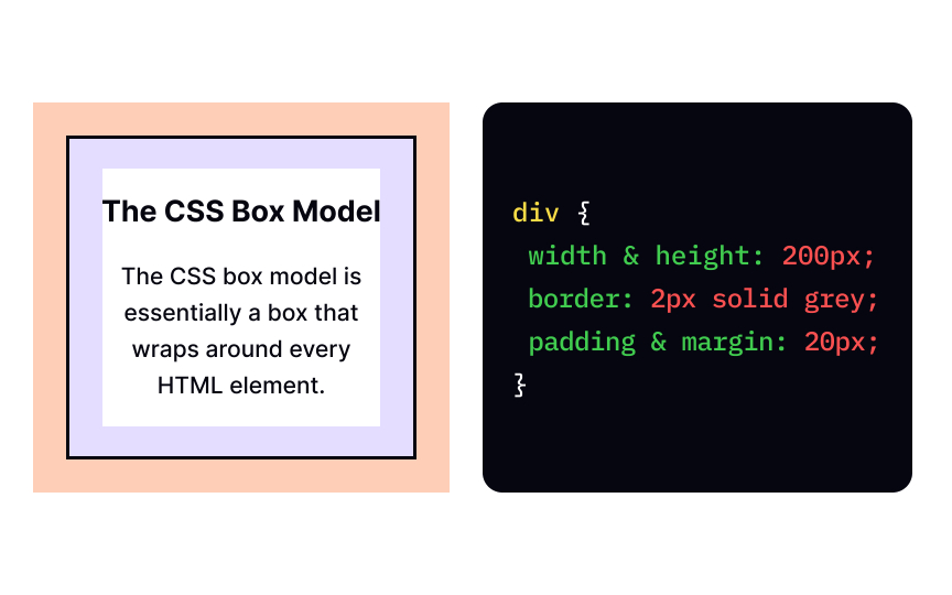 CSS Box Model Lesson | Uxcel