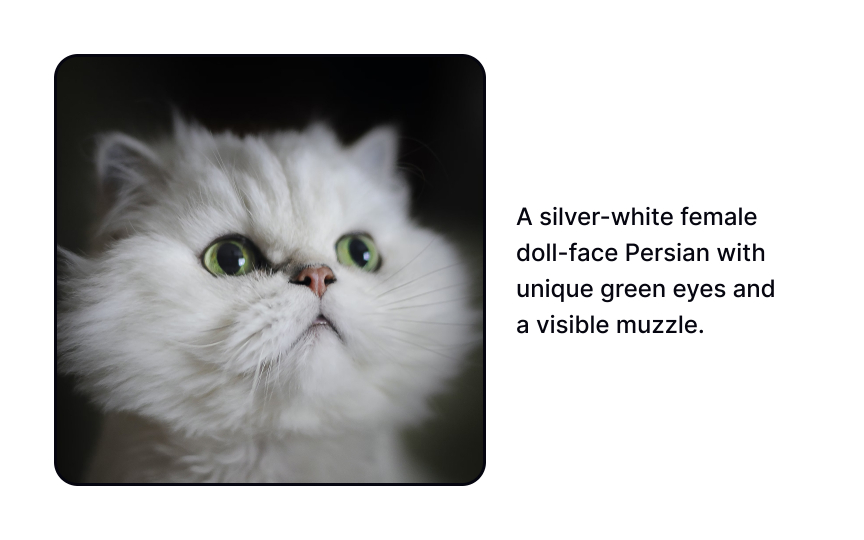 Captions in Typography Lesson | Uxcel