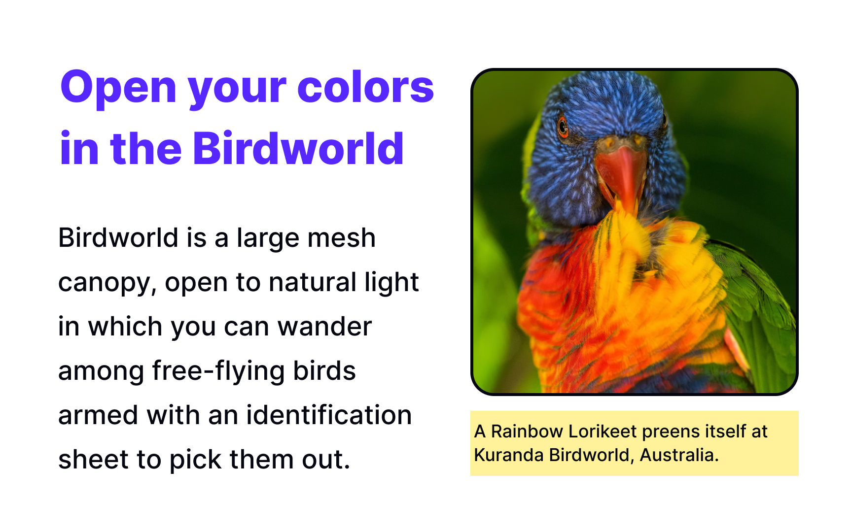 Captions in Typography Lesson | Uxcel