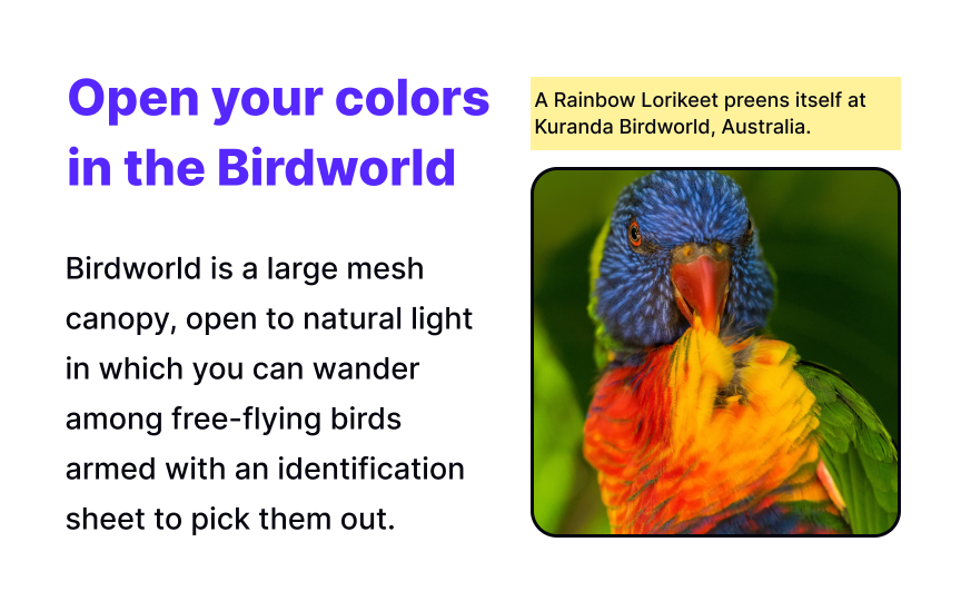 Captions in Typography Lesson | Uxcel