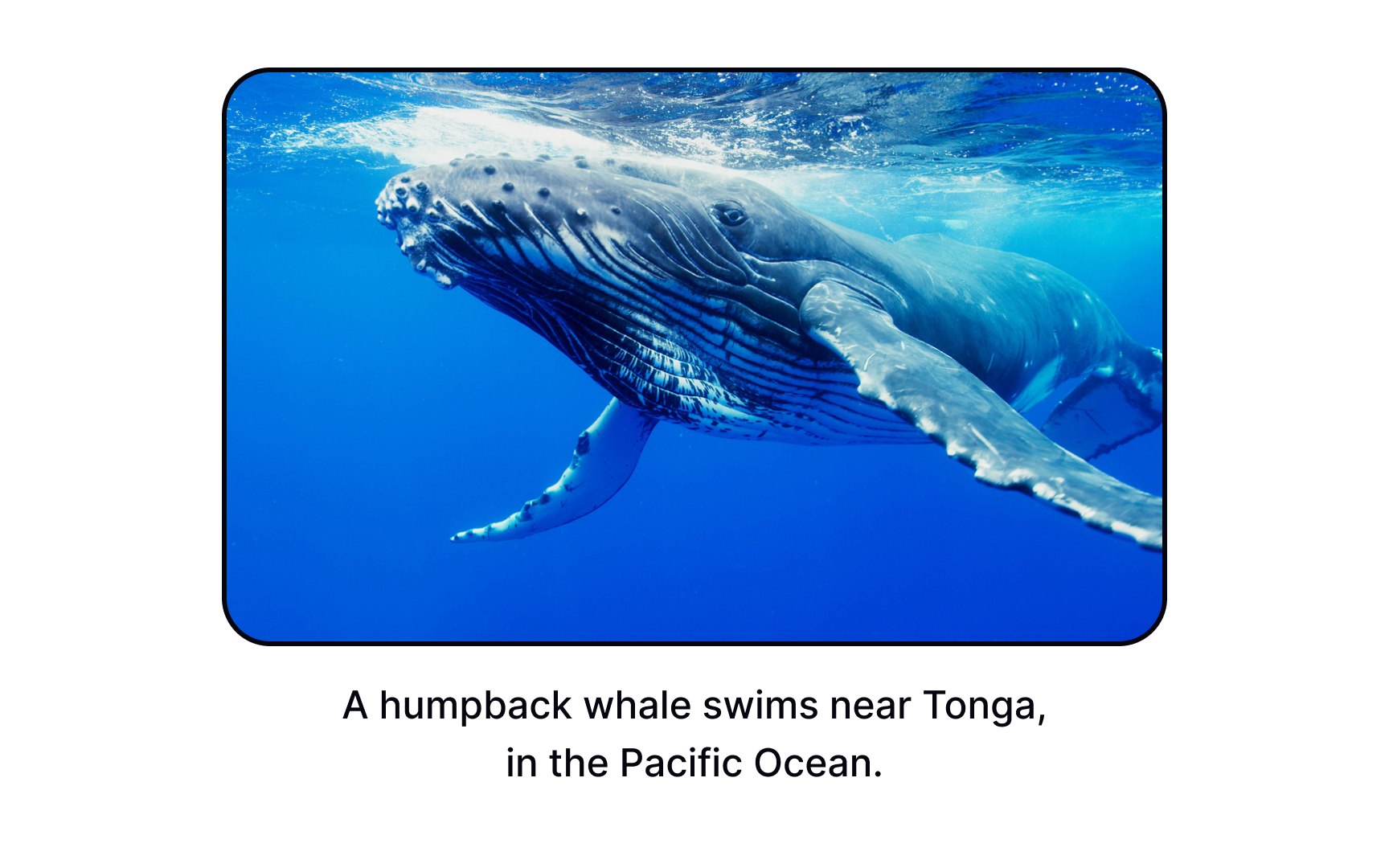 Captions in Typography Lesson | Uxcel