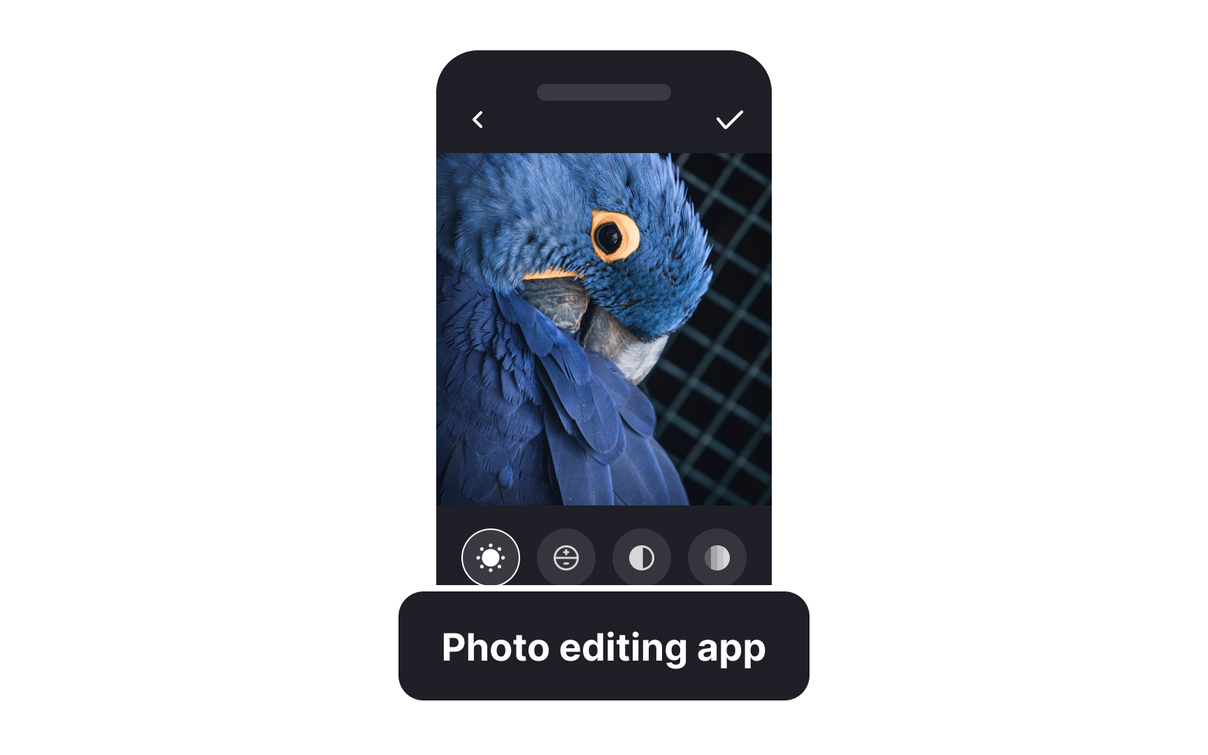 Psychological Theories Behind Gamification Lesson | Uxcel