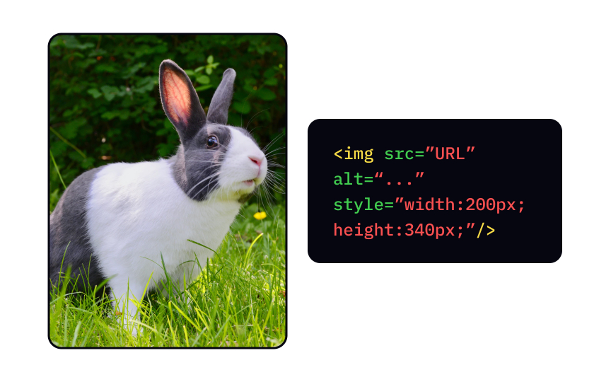 HTML Images Lesson | Uxcel