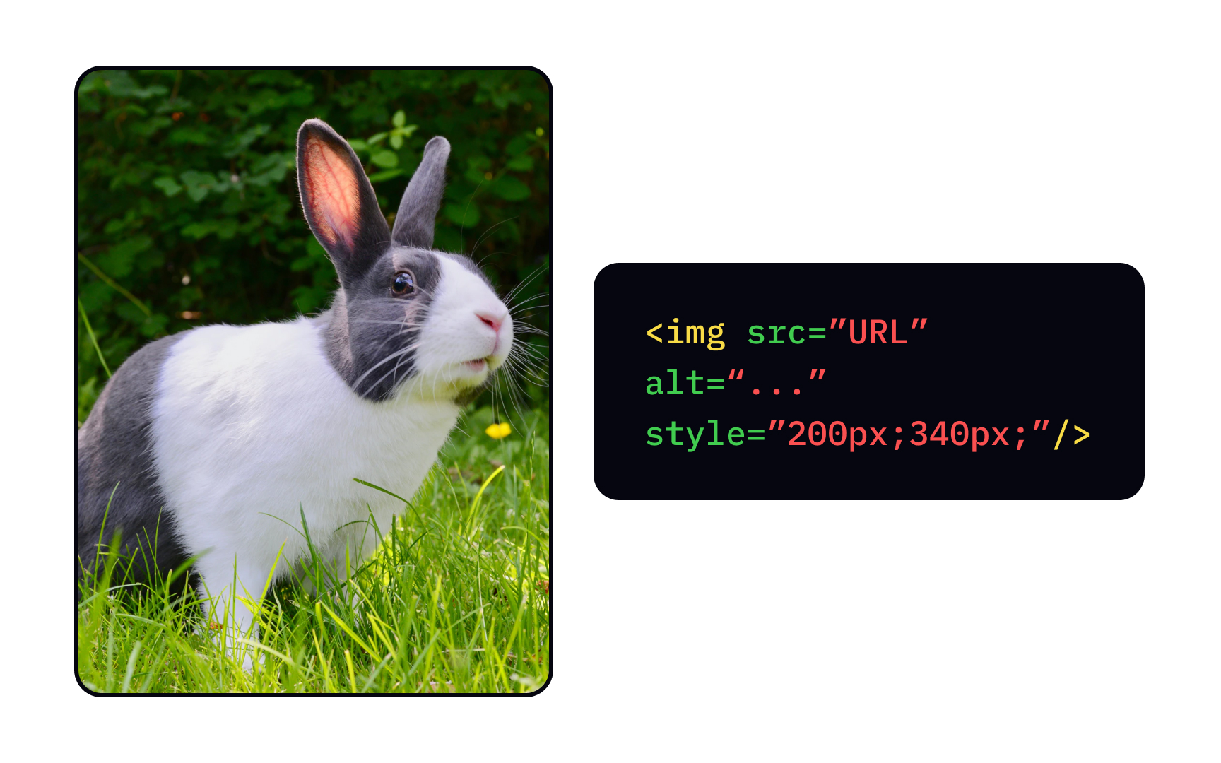 HTML Images Lesson | Uxcel