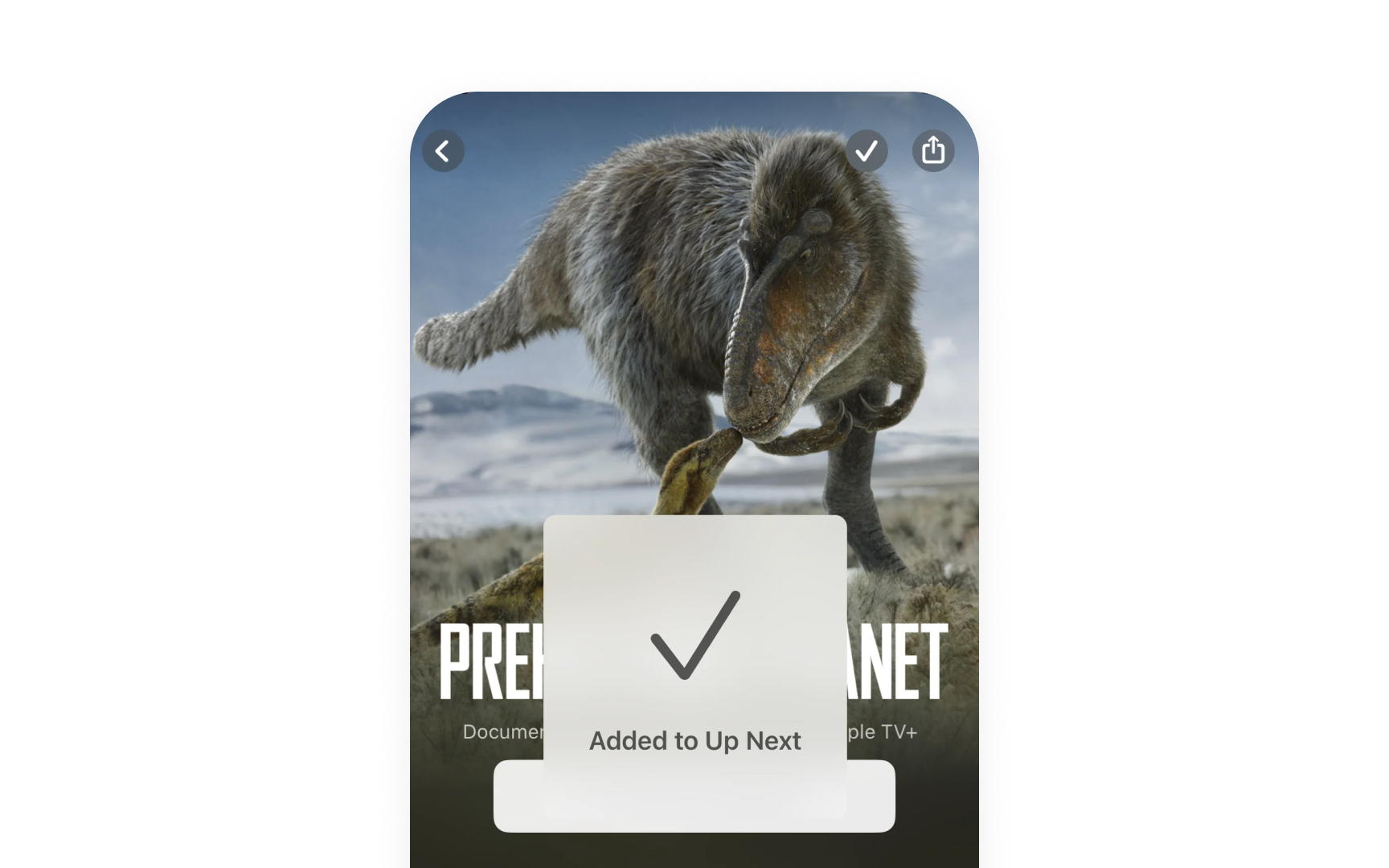 Interface Materials & Layers Lesson | Uxcel